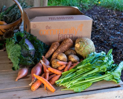 REAL Farming Inspiration - The Community Farm